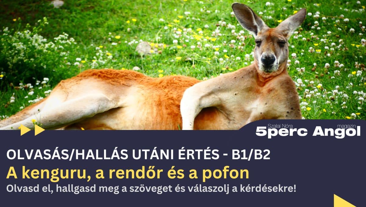 Hallás utáni értés/olvasásértés B1-B2: A kenguru, a rendőr és a pofon ...